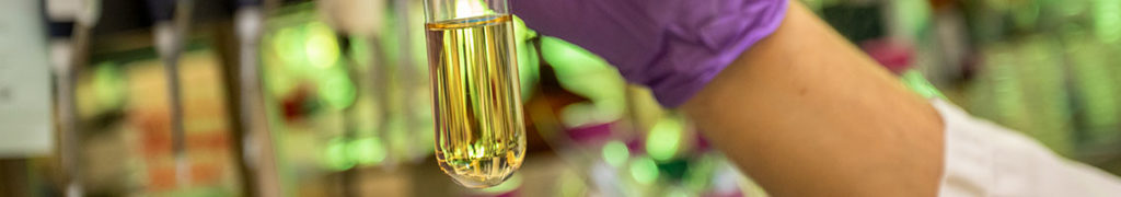 BIO-BASED CHEMICALS, INTERMEDIATES, POLYMERS, AND MATERIALS